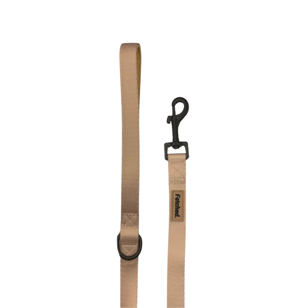 Fetched the Label - Essential Beige Dog Leash | Pets of Ponsonby