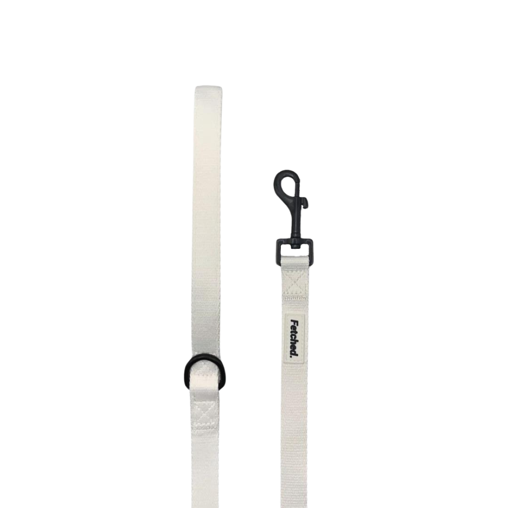 Fetched the Label - Essential Cream Dog Leash | Pets of Ponsonby